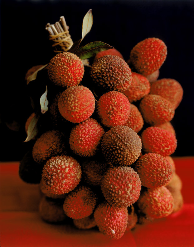 Judy Casey - Photographers - Maria Robledo - Food