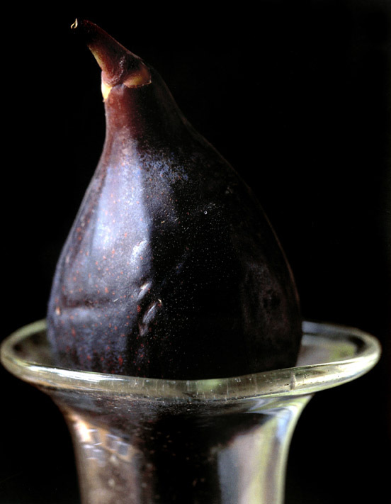Judy Casey - Photographers - Maria Robledo - Food