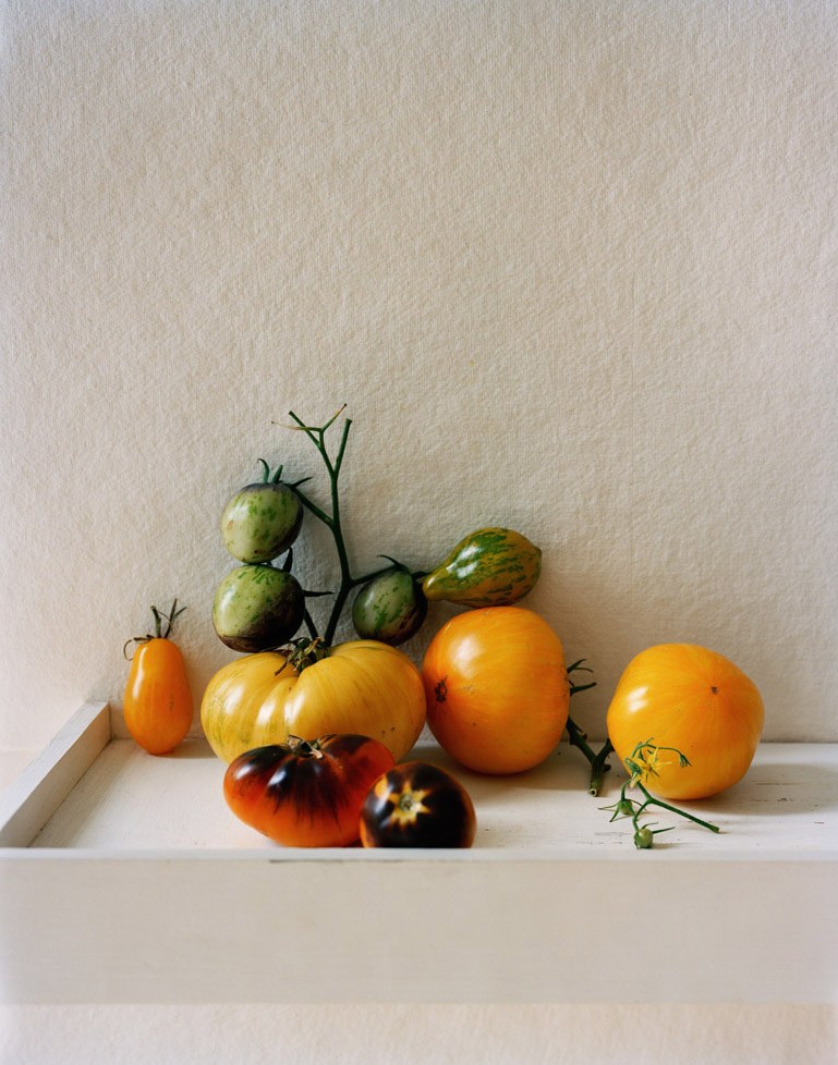 Judy Casey - Photographers - Maria Robledo - Food