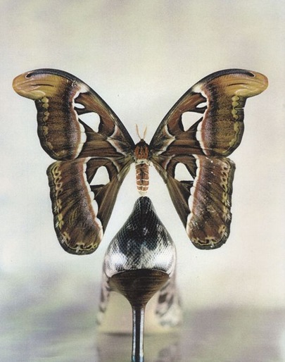 Ray Brown Productions - Styling & Beauty - Set Designers/Props - kerry ...