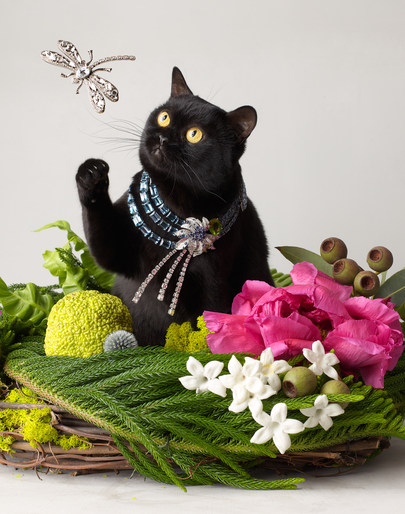 Ray Brown Productions - Styling & Beauty - Set Designers/Props - kerry ...